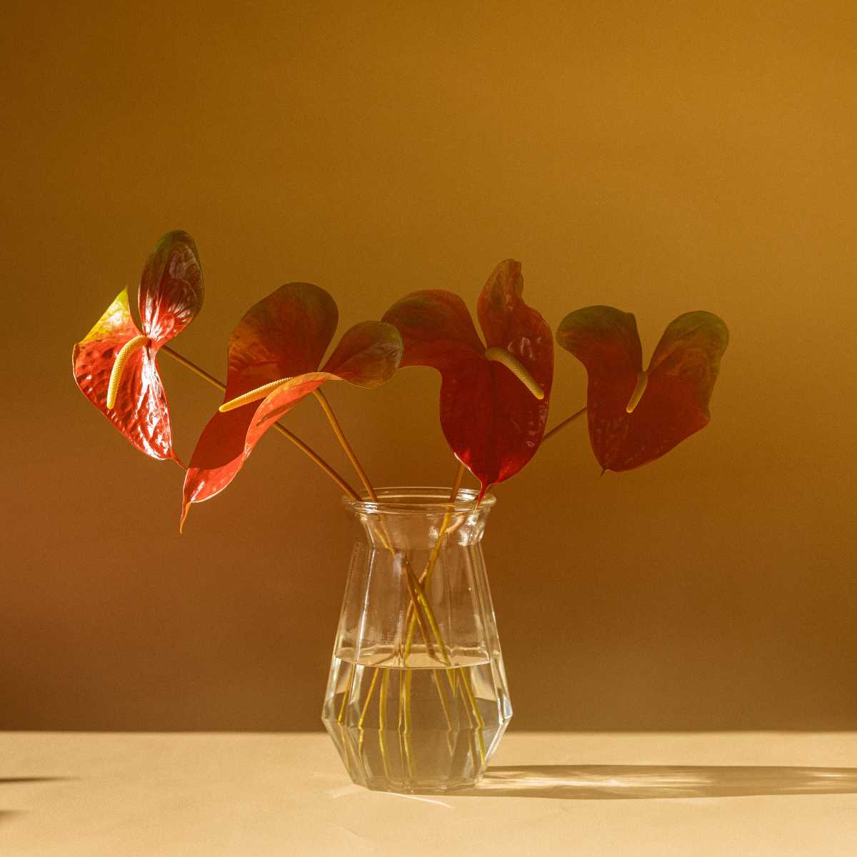 Reduce Stress & Boost Creativity: Office Plants from Burnaby Florist ...
